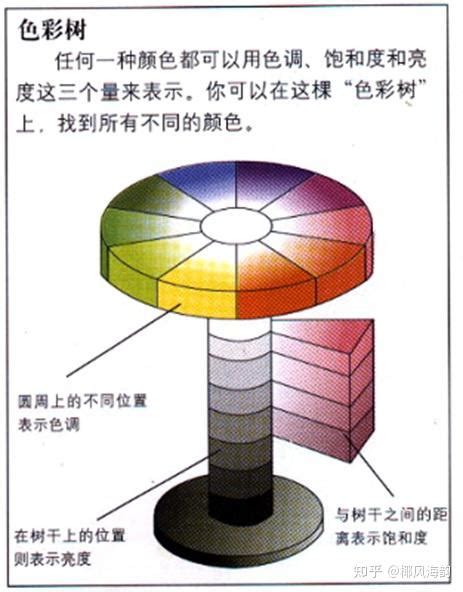 颜色 知乎