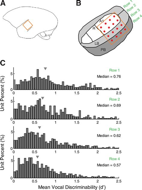 Figure 1 From Comparison Of Auditory Vocal Interactions Across Multiple Types Of Vocalizations