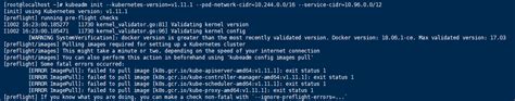 Error Imagepull Failed To Pull Image Kube Apiserver Amd64v1111 Exit Status 1