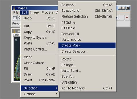Brief Instructions For Imagej