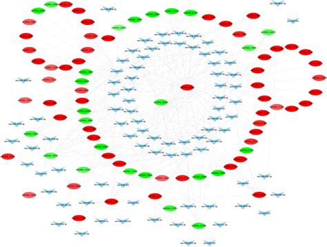 Circrna Mirna Interaction Network The Circle Represents The Circrna Download Scientific