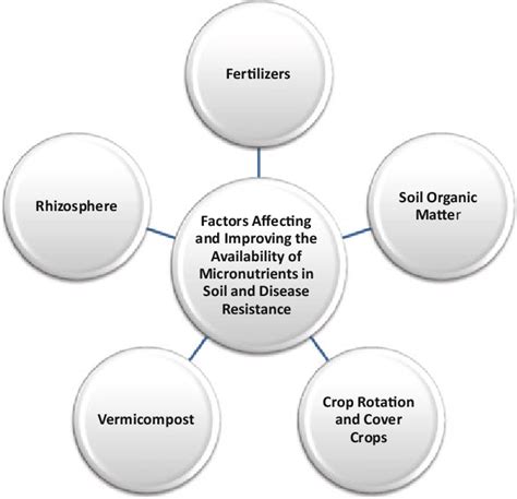 2 Factors Affecting And Improving The Availability Of Micronutrients In