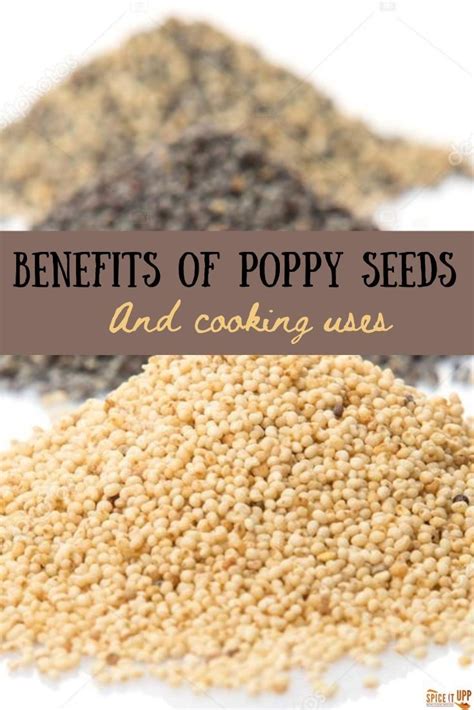 The Amazing Benefits Of Poppy Seeds