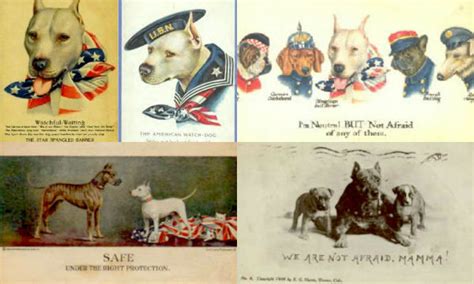The History Of Pit Bulls Love A Bull