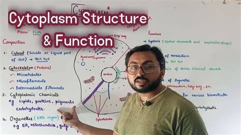 Cytoplasm Structure Function Composition Cell Biology Youtube