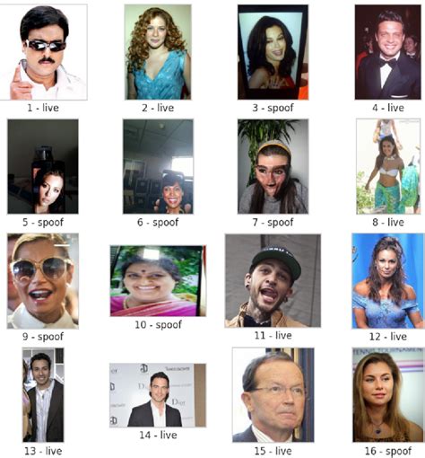 논문 리뷰 Liveness Detection In Computer Vision Transformer Based Self Supervised Learning For