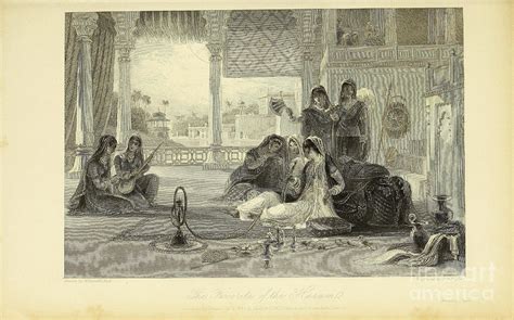 Favourite Of The Harem J Drawing By Historic Illustrations Fine Art