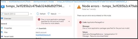The Usage Of Managed Identity In The Azure Batch Account And Azure Batch Pool Microsoft
