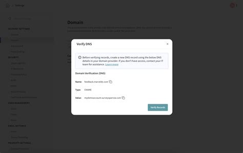 Adding Dns Records In Cloudflare Surveysparrow