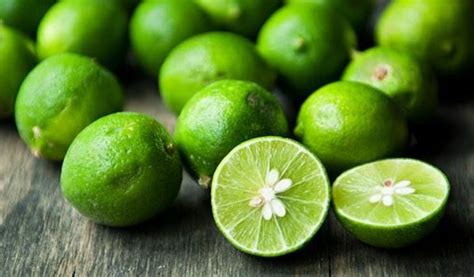 Cara Menanam Jeruk Nipis Di Pot Agar Cepat Berbuah