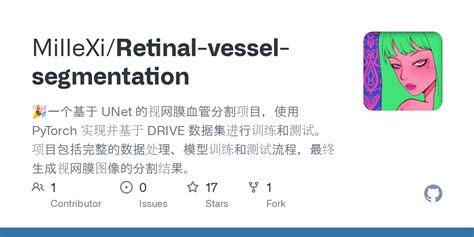 Retinal Vessel Segmentation Dataset Py At Main · Millexi Retinal Vessel Segmentation · Github