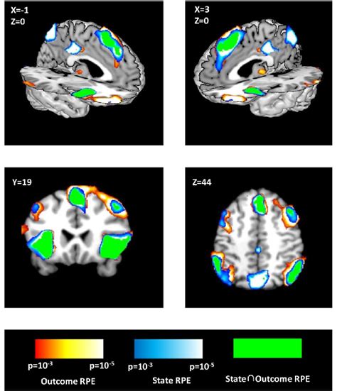 Risk Prediction Error In The Cognitive Control Network Values Derived Download Scientific