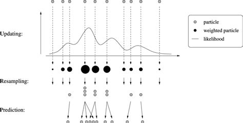 Operation Of The Generic Particle Filter Download Scientific Diagram