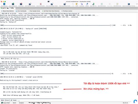 Script Rclone Master Backup By Realdev Tự động Backup Vps Server