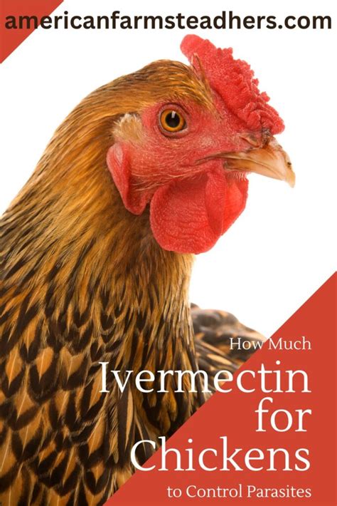 How Much Ivermectin For Chickens To Control Parasites