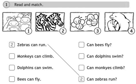 Verb Can Questions Didactalia Material Educativo