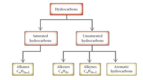Organic Chemistry Exam 1 Flashcards Quizlet