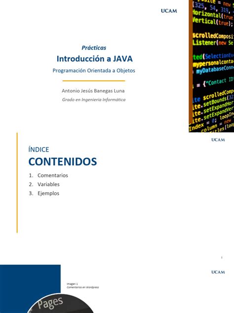 introducción a java pdf