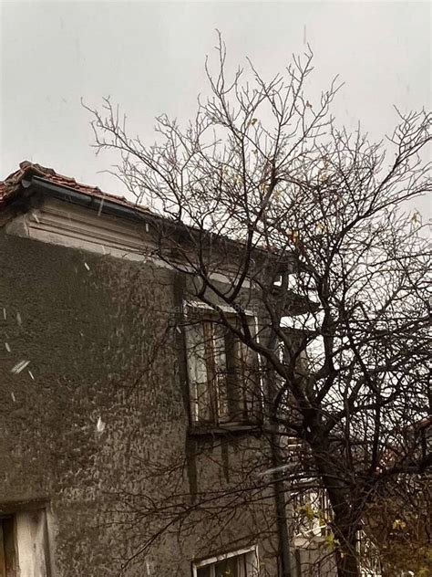 Къща в с Кошарица с 1450м2 дворно място Двуетажна къща 120 кв м РЗП 1450 кв м двор Къщ