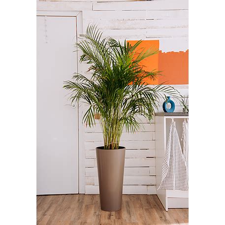 Пластик Производство Россия АТТИКА купить оптом и в розницу в интернет ...