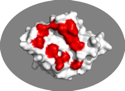 Tutorial Describing The Use Of A Local Version Of HADDOCK Bonvin Lab
