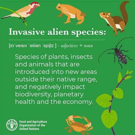 Dr Muhammad Tariq Khan On Linkedin Invasive Pests Main Drivers Of Biodiversity Losses
