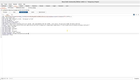 How To Install And Set Up Burp Suite On Linux