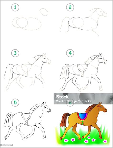 페이지는 말을 그리는 방법을 단계별로 배우는 방법을 보여줍니다 벡터 이미지입니다 아이들의 그림 그리기와 색칠 기술 개발 0명에 대한 스톡 벡터 아트 및 기타 이미지 Istock