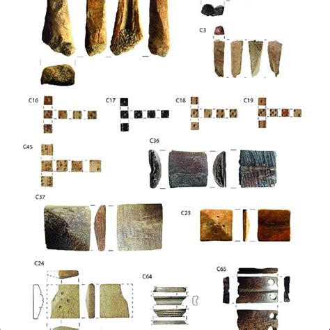 Artifacts Carved From Bone And Antler Found In The Coal Strata Of