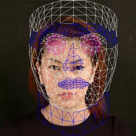 Model Fitting By Gui Tool Download Scientific Diagram