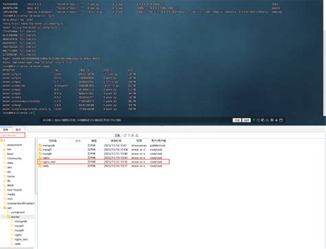 docker中配置nginx容器，并挂载配置文件、数据文件、日志文件 docker nginx 挂载 csdn博客
