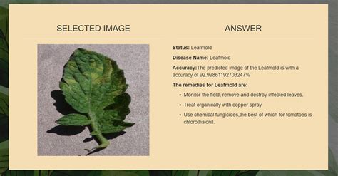 GitHub Nirajccs Tomato Leaf Disease Detection Detect And Classify Tomato Leaf Diseases