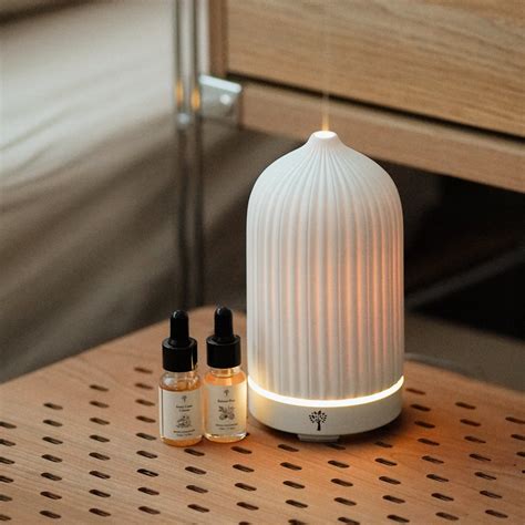 Coral Diffuser Hotel Scent Bundle Humidifier And Mist Diffuser Pristine Sg Coral Diffuser Hotel Scent Bundle Humidifier And Mist Diffuser Pristine Sg