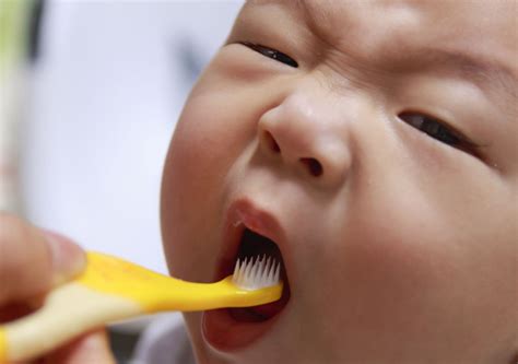 아이 치아를 하루 두 번 이상 닦아주나요