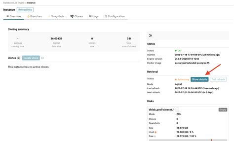 Dblab Tutorial For Any Postgresql Database Database Branching For Any