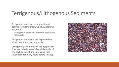 Ocean Sediments Page 36 In Your Notebook Ppt Download