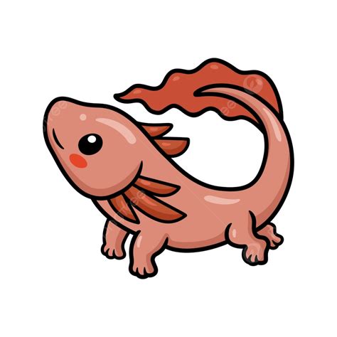 Ilustración De Vector De Dibujos Animados Lindo Ajolote Png Oceano Salamandra Dibujos