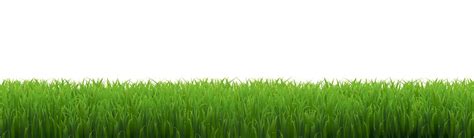 Premium Vector Green Grass Frame With White Background