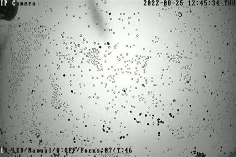 Yolov7dataset Instance Segmentation Dataset By Shrimp