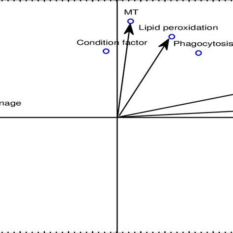 Principal Component Analysis Of The Spatial Variation Survey Principal