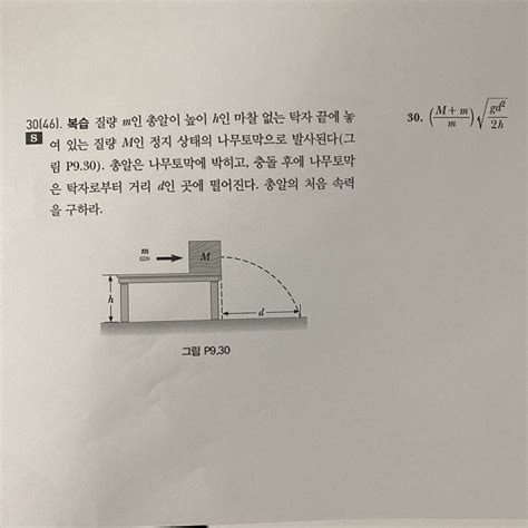 탄동진자 문제 지식in