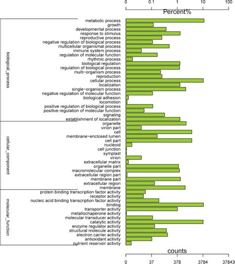 Histogram Presentation Of Gene Ontology Classifications The Results Download Scientific