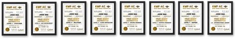 Krav Maga Belt Certification Krav Maga Courses Worldwide For Civilians Law Enforcement And