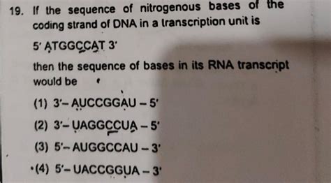 19 If The Sequence Of Nitrogenous Bases Of The Coding Strand Of Dna In A