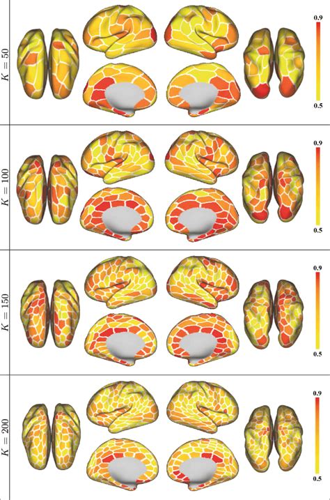 Group Wise Whole Brain Parcellations Obtained By The Joint Spectral Download Scientific Diagram