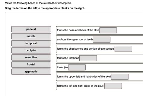 Solved Match The Following Bones Of The Skull To Their Description