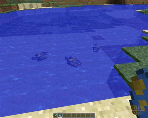 Koi Fish For Minecraft