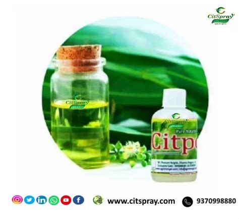 Citronellol Leaves Citronella Diffuser Fragrance For Humidifier At Rs