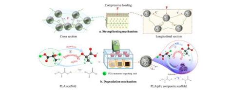 多孔铁增强聚乳酸 Tpms 生物支架：联锁增强和协同降解 Materials And Design X Mol