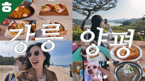 🌞요즘 날씨 좋아서 잠깐 나갔다 왔어☀️ Youtube